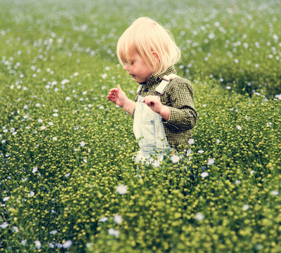 10 summer safety tips